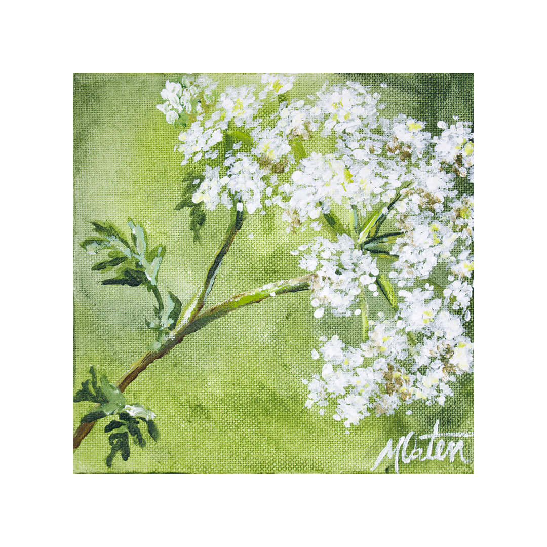 Bitterness | Amos - Garden of Grace mini collection | Mindi Oaten Art